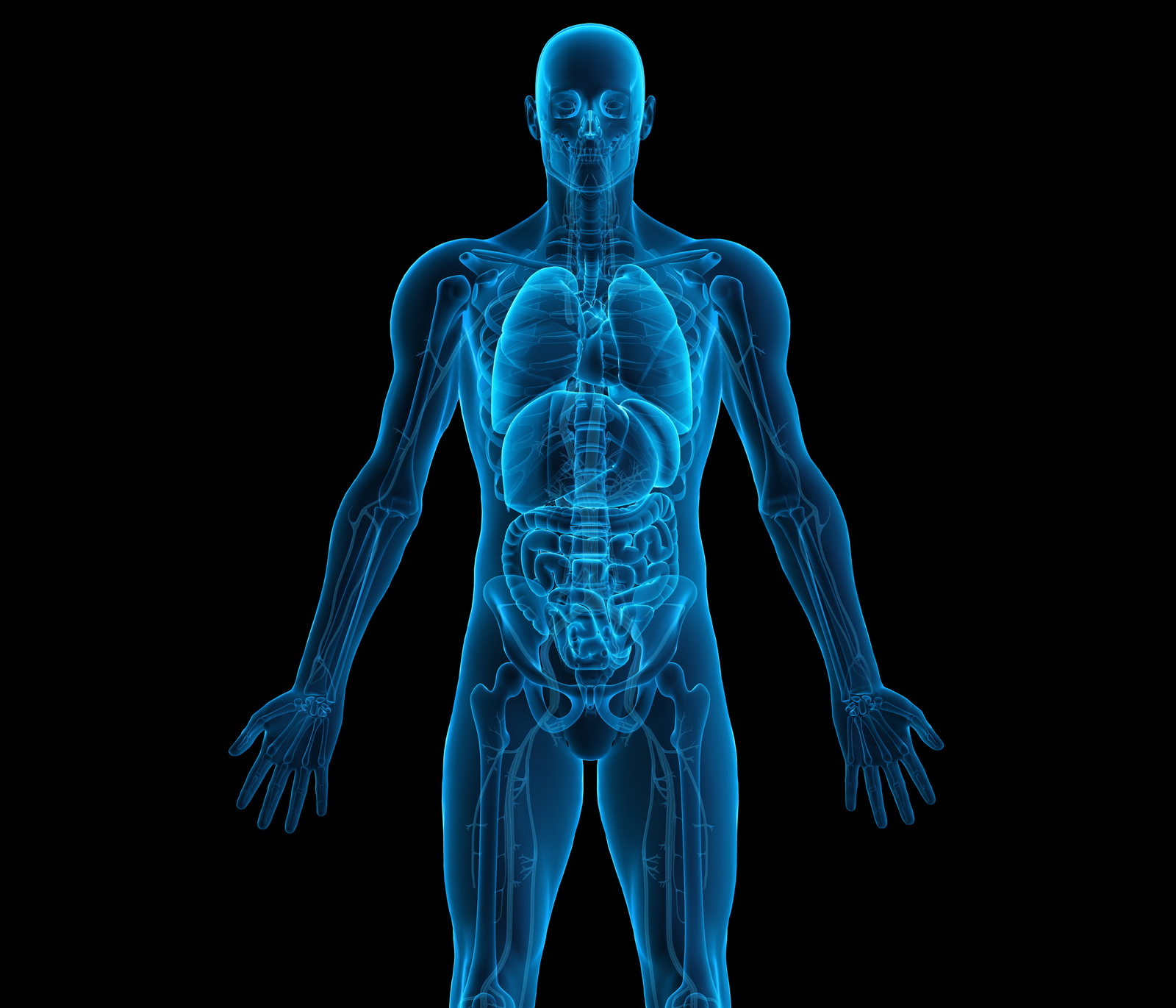 The Effects of Sugar on the Human Body - No Guilt Bakes